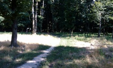 TreeHouse | Nunta in aer liber, evenimente companii, locatii de nunta