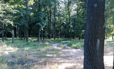 TreeHouse | Nunta in aer liber, evenimente companii, locatii de nunta