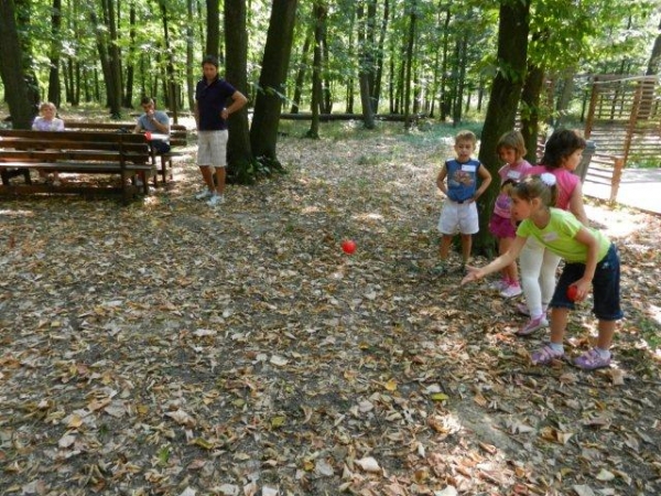 TreeHouse | Nunta in aer liber, evenimente companii, locatii de nunta