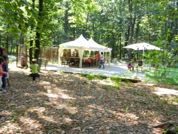 TreeHouse | Nunta in aer liber, evenimente companii, locatii de nunta