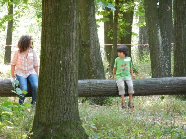 TreeHouse | Nunta in aer liber, evenimente companii, locatii de nunta