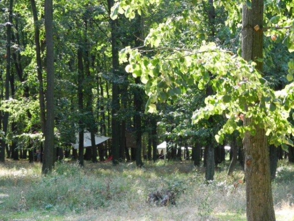 TreeHouse | Nunta in aer liber, evenimente companii, locatii de nunta